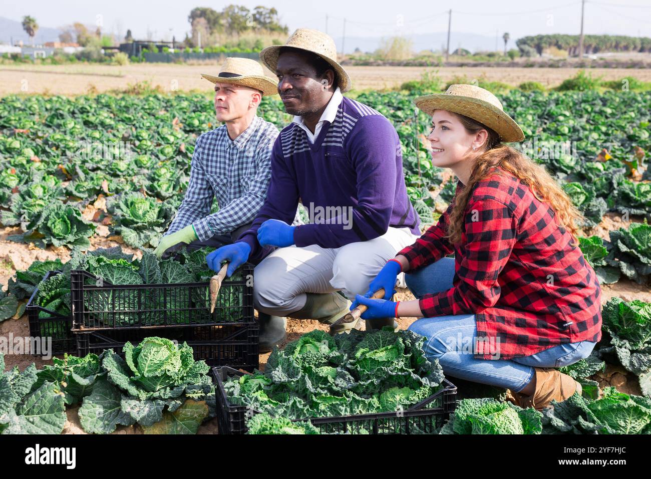 Group farm workers posing hi-res stock photography and images - Alamy
