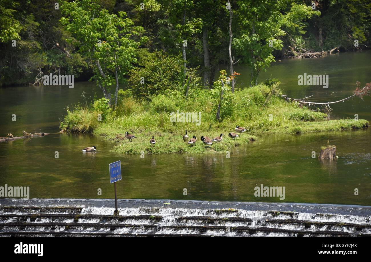 South holston river dam hi-res stock photography and images - Alamy