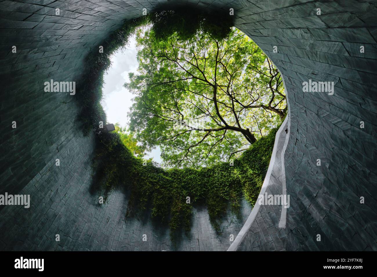 Singapore - August 18, 2024: The tree over tunnel walkway at Fort ...