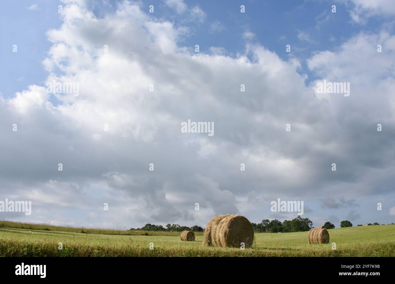 Storm clouds gather over field and round hay bales. Field is in ...