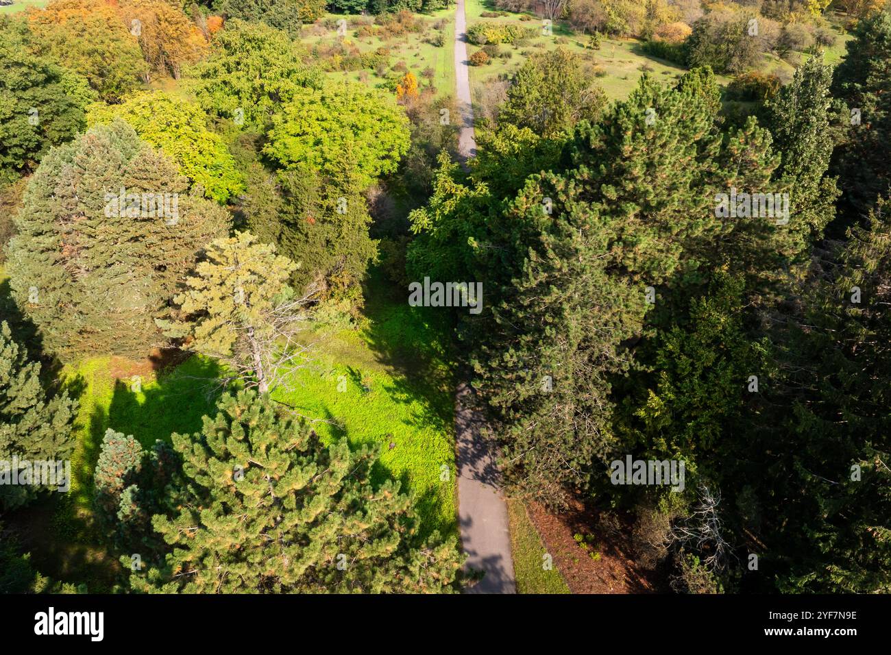 An aerial perspective of a lush botanical garden featuring a narrow ...