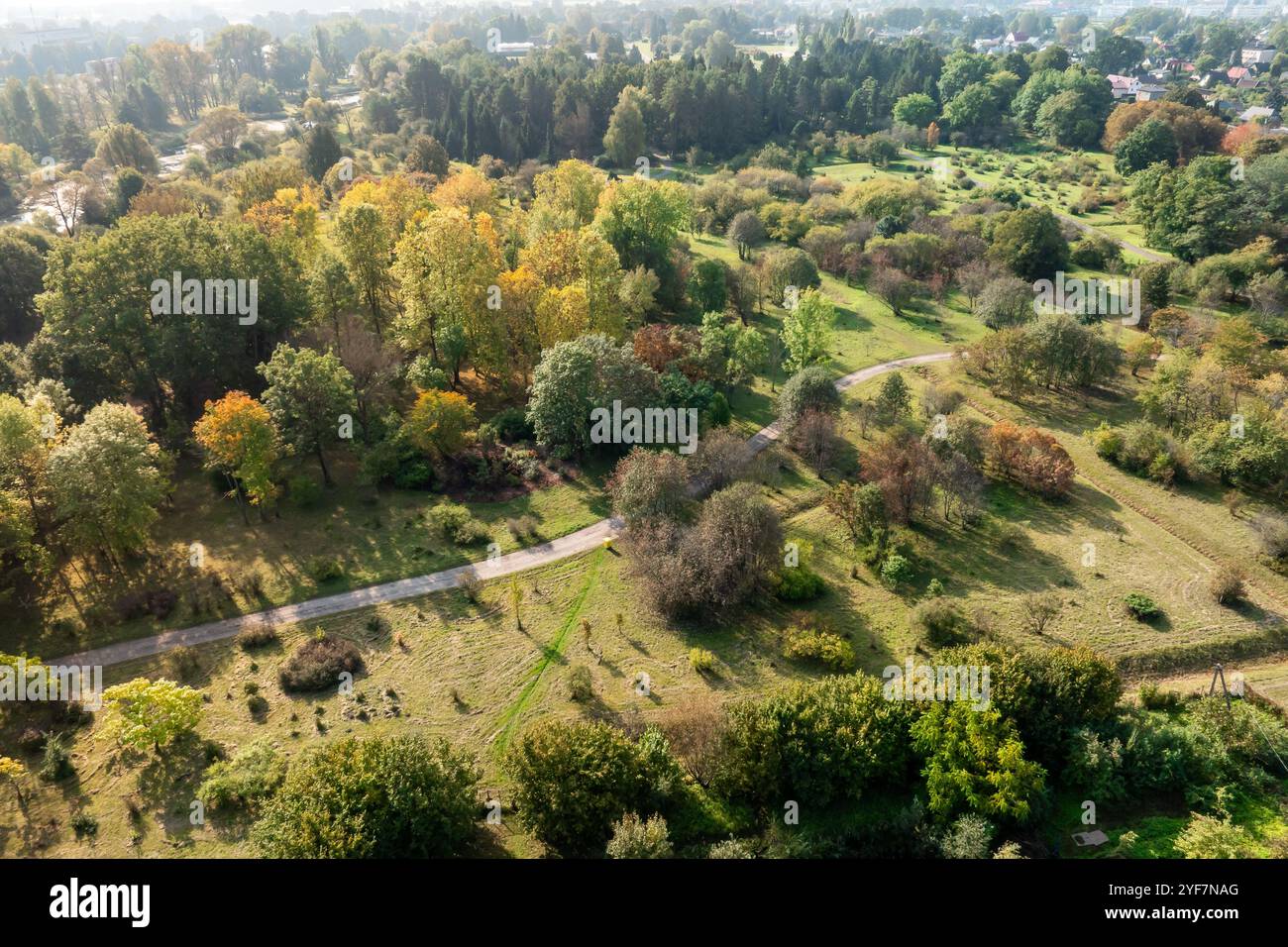 An aerial perspective of a botanical garden features diverse trees and ...
