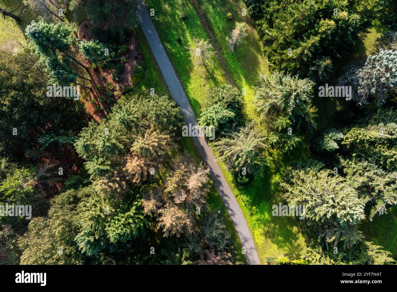An aerial view captures a botanical garden's winding path amid diverse ...