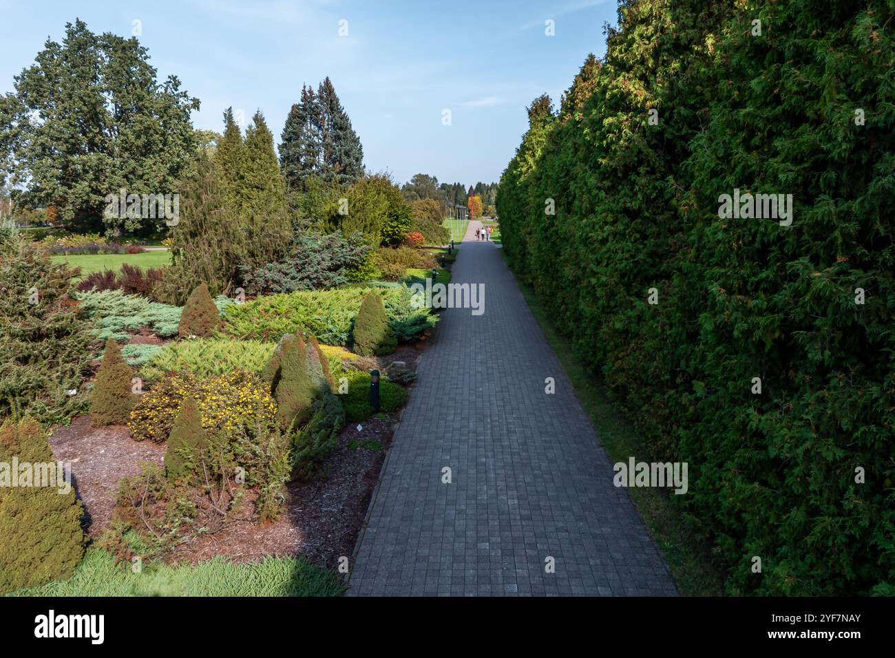 A paved gray brick path in a botanical garden, bordered by lush ...