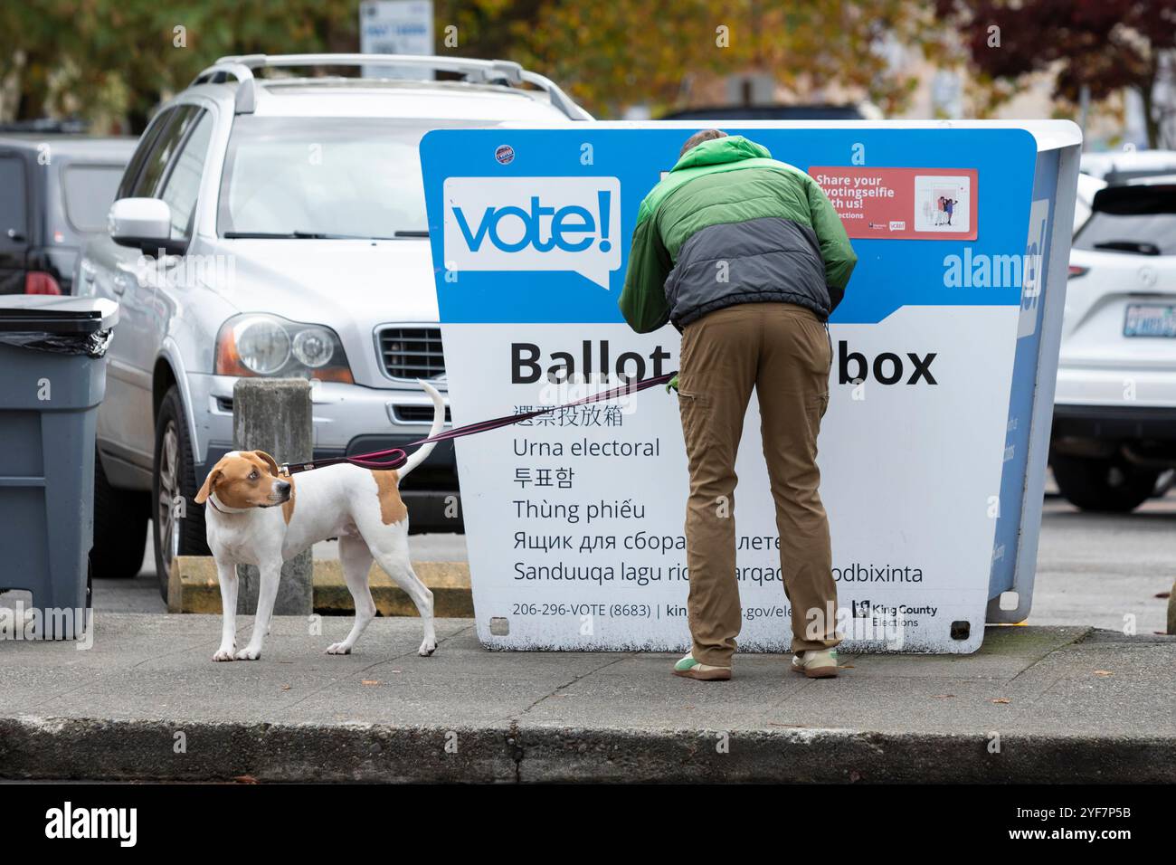 Seattle, Washington, USA. 3rd November, 2024. Man casts a ballot at a ...