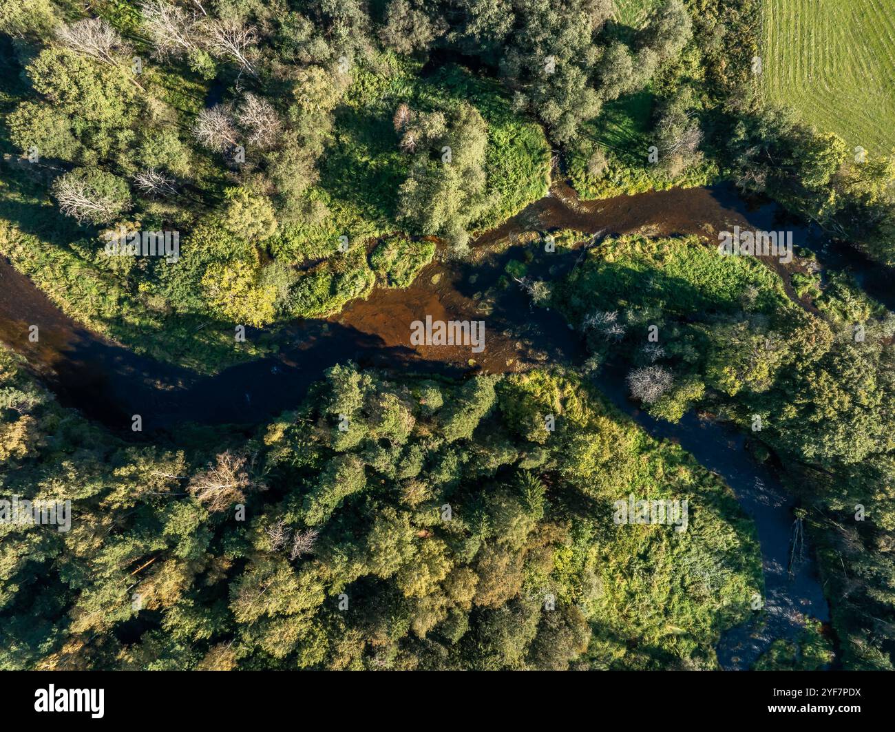 An aerial perspective captures a winding river dividing lush, green ...