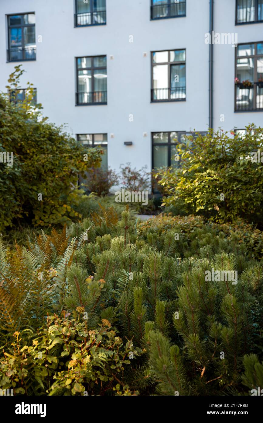 A well maintained garden with diverse plants in front of a modern white ...