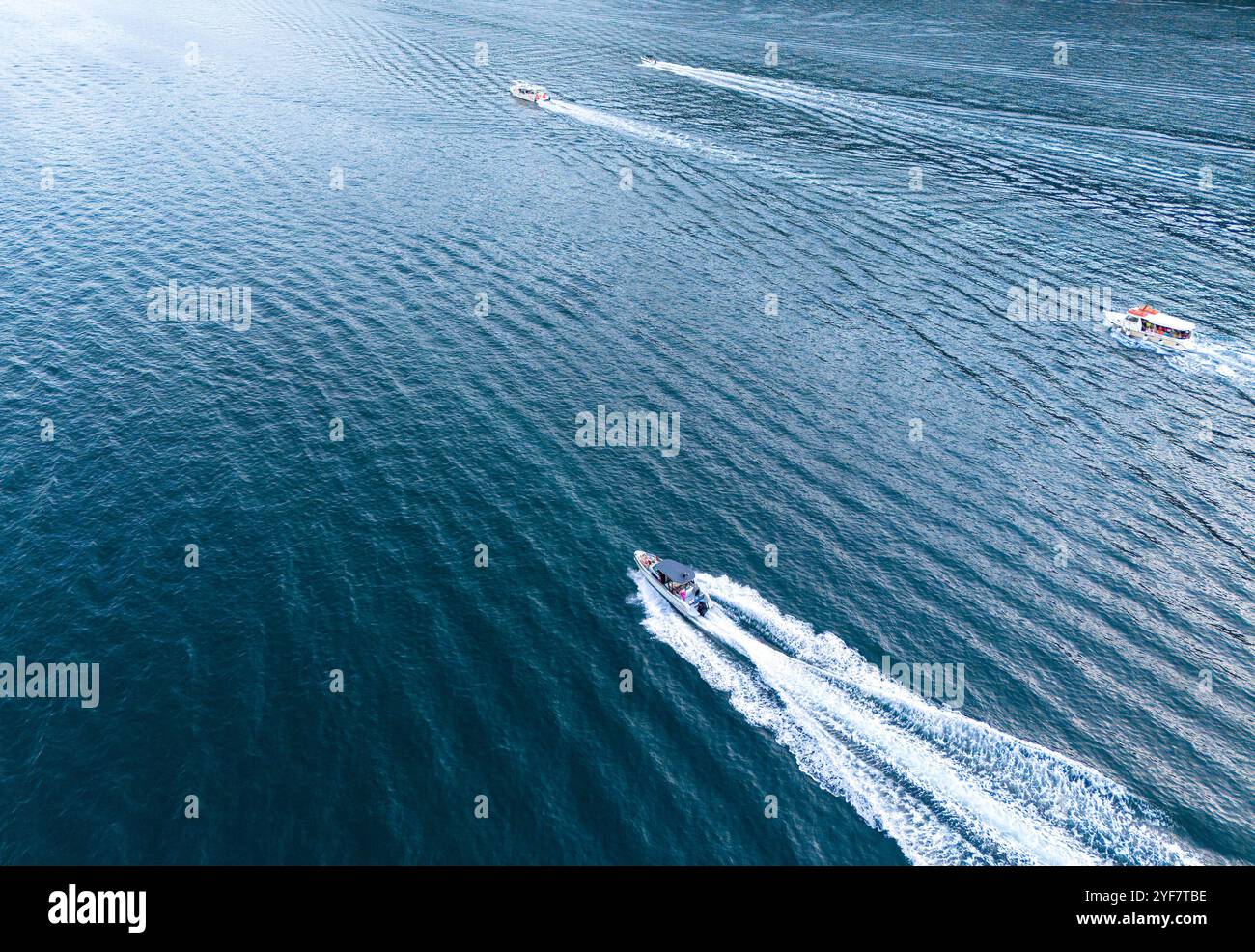 Speedboat cutting through water hi-res stock photography and images - Alamy