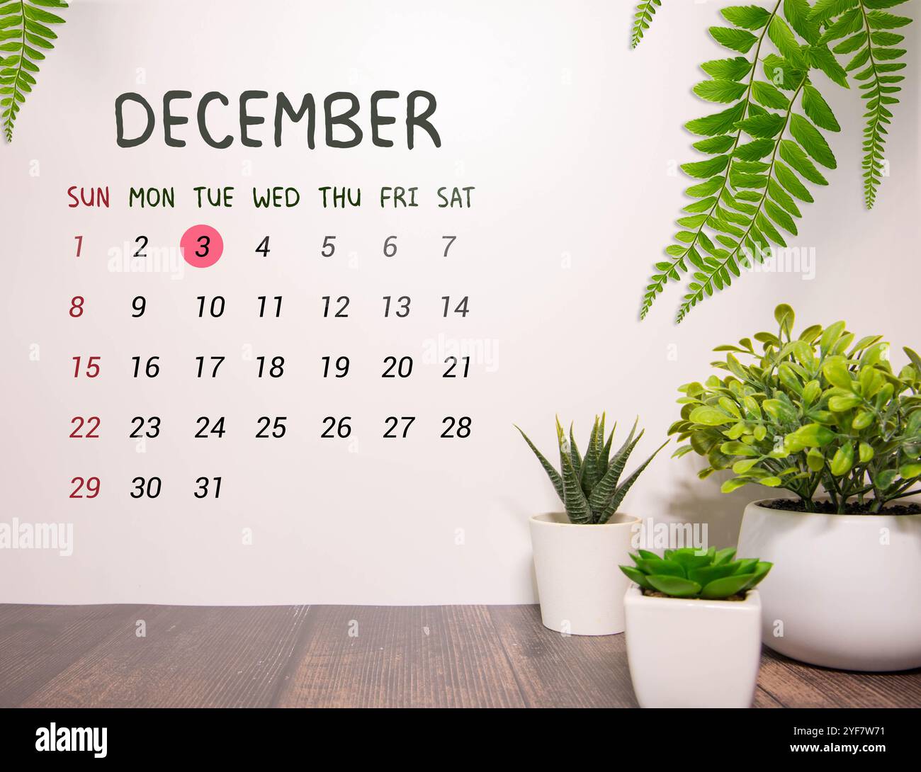 A set of white calendar blocks shows the date December 3, set against a ...