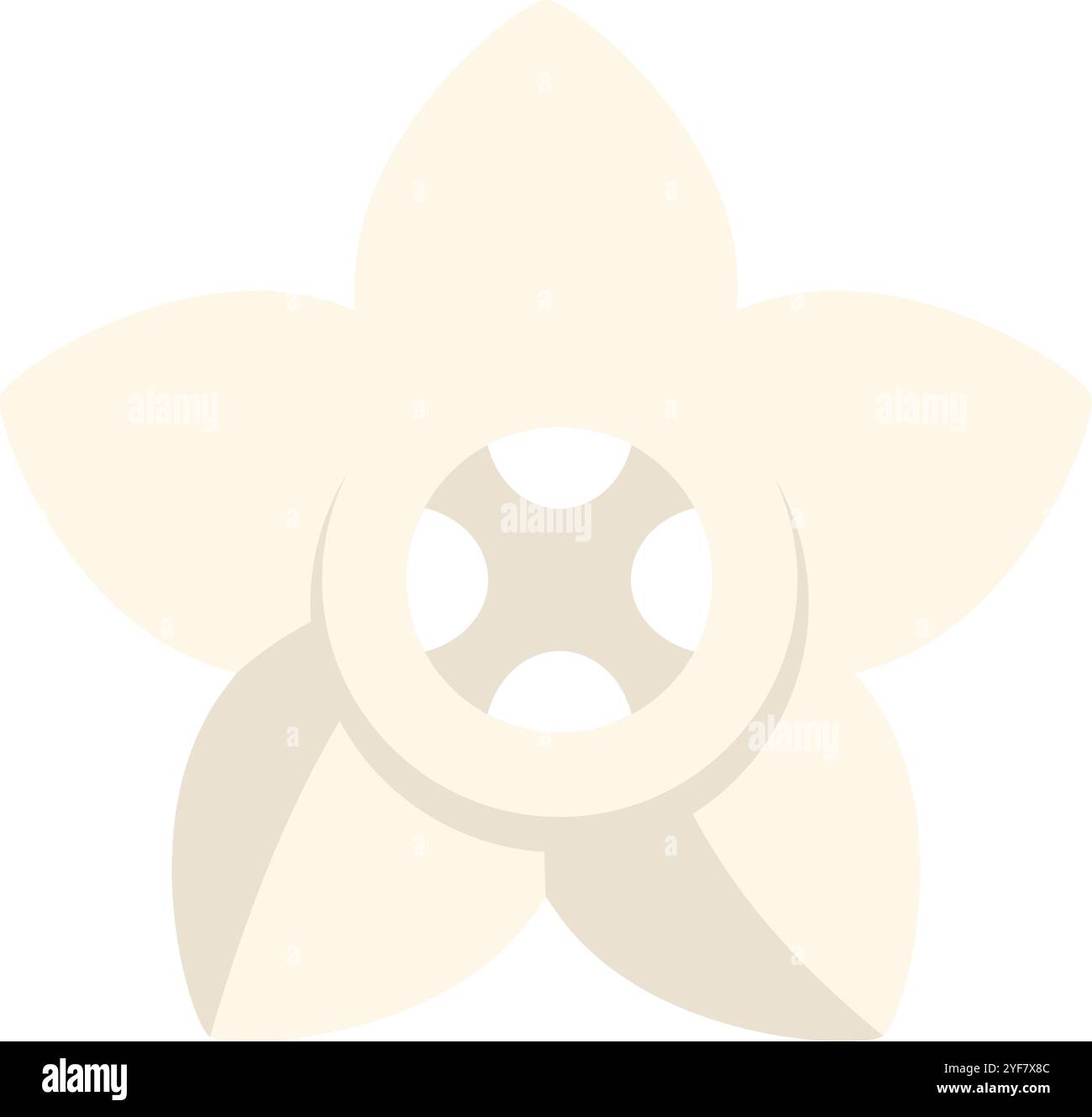 Five petaled vanilla flower head blooming illustration in flat design ...