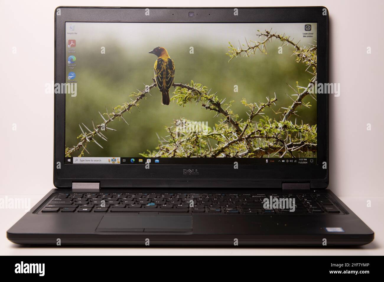 Dell Latitude 5580 Laptop Computer Stock Photo - Alamy