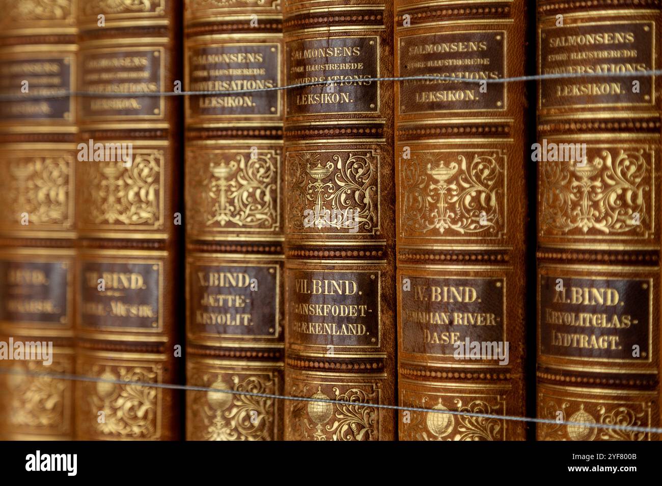 Old books bound in leather covered embossed with gold foil (Library ...