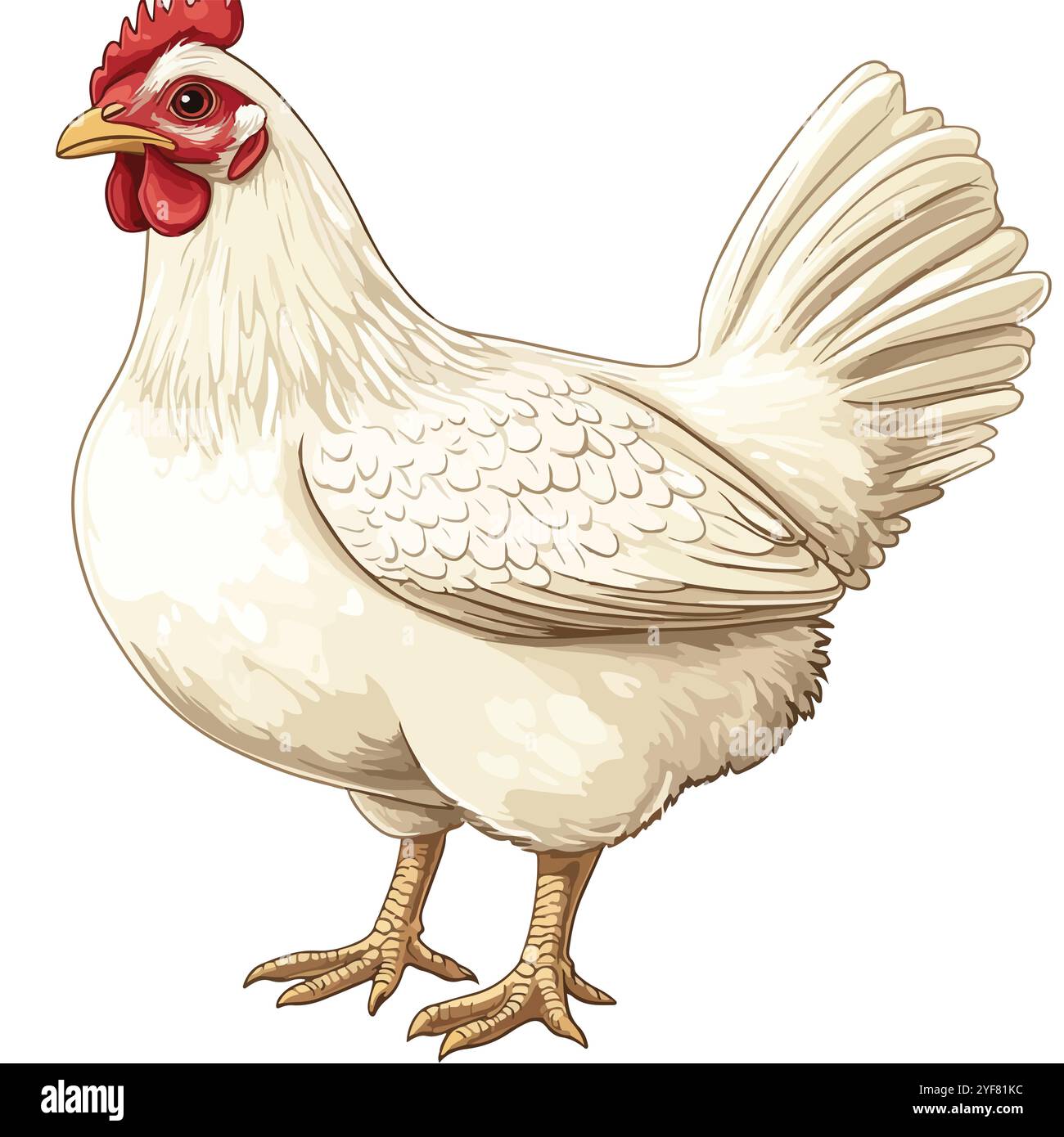 Animated chicken hi-res stock photography and images - Alamy