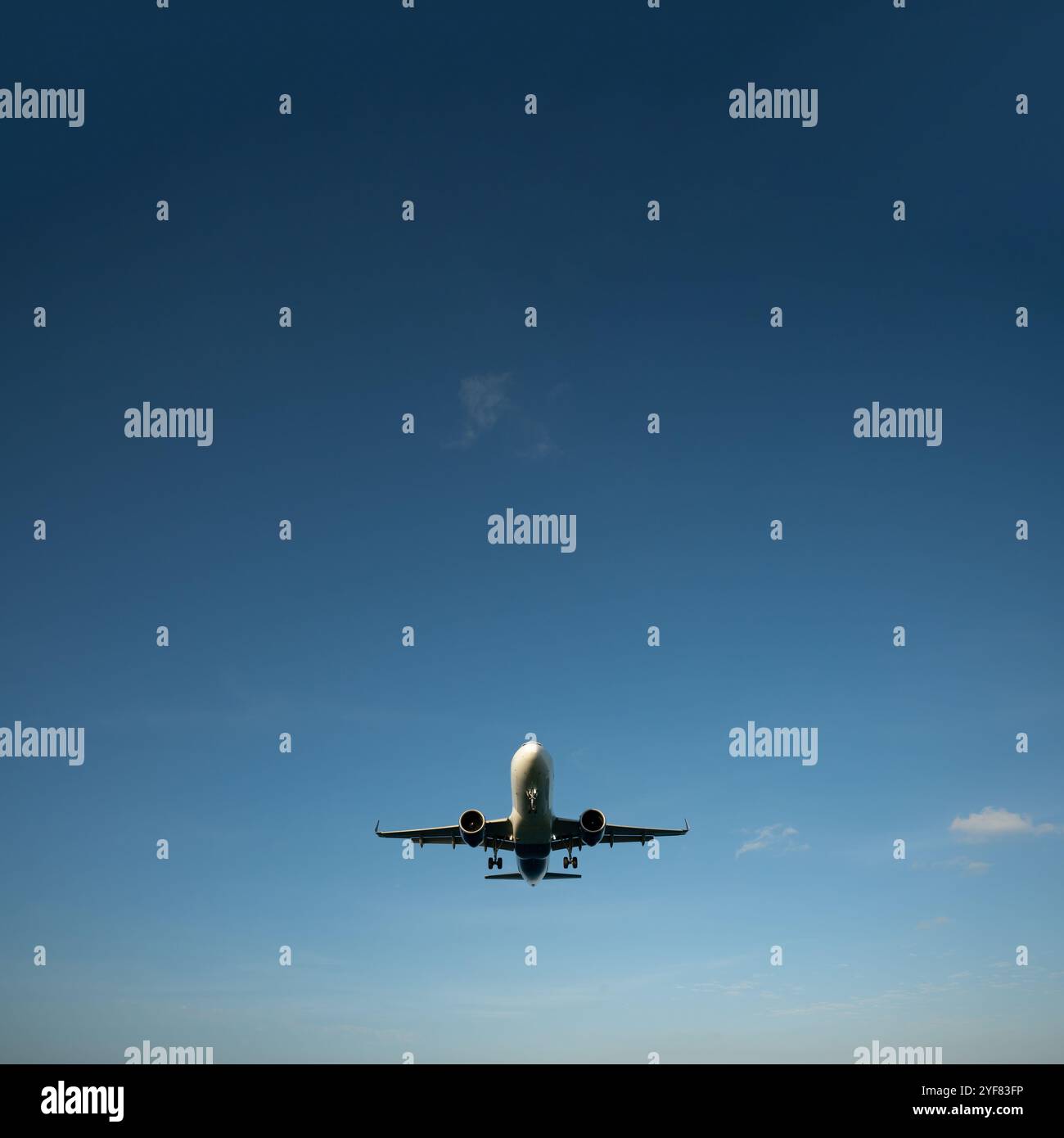 Landing passenger jet airplane at daytime Stock Photo - Alamy