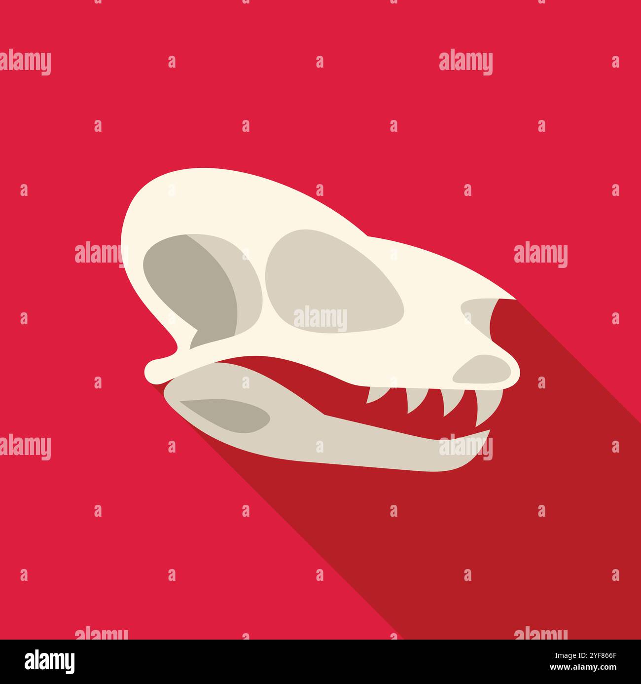 Dinosaur Skull Fossil With Sharp Teeth On Red Background Representing Paleontology And