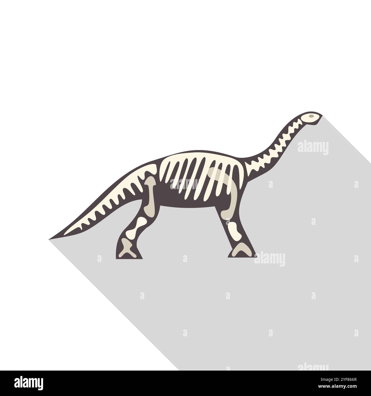 Brachiosaurus skeleton in museum Stock Vector Images - Alamy