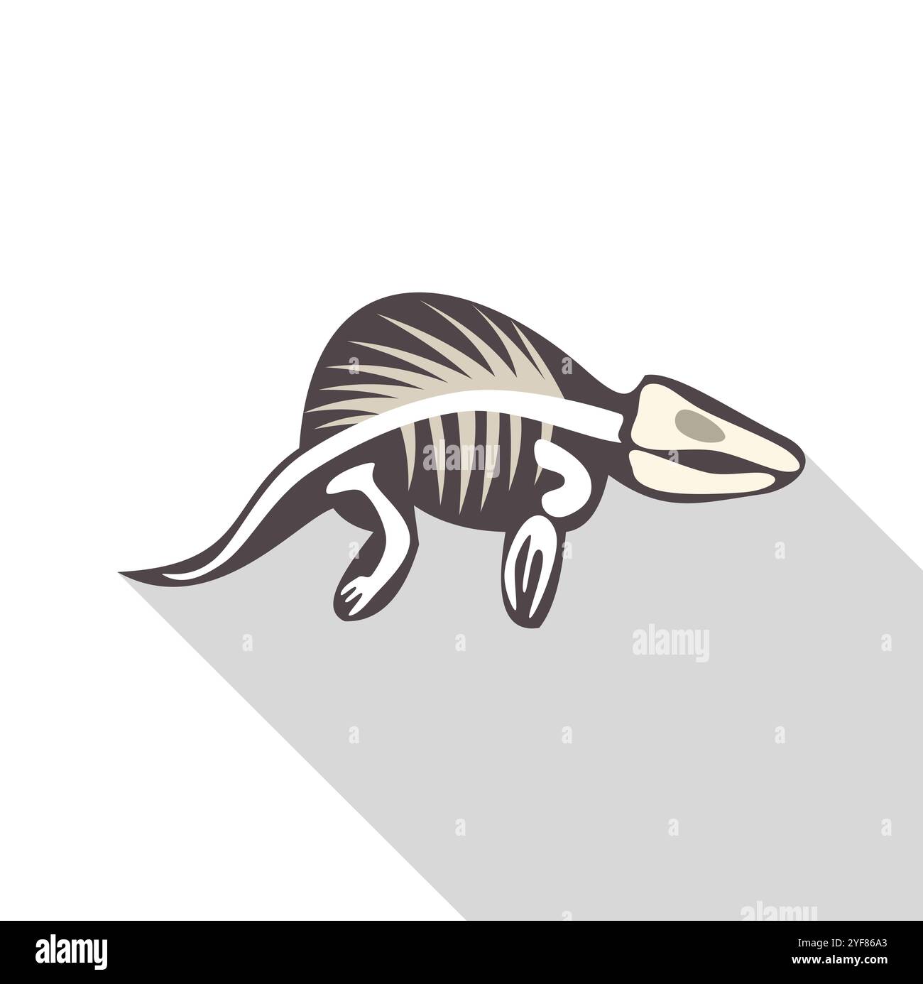 Lystrosaurus skeleton hi-res stock photography and images - Alamy