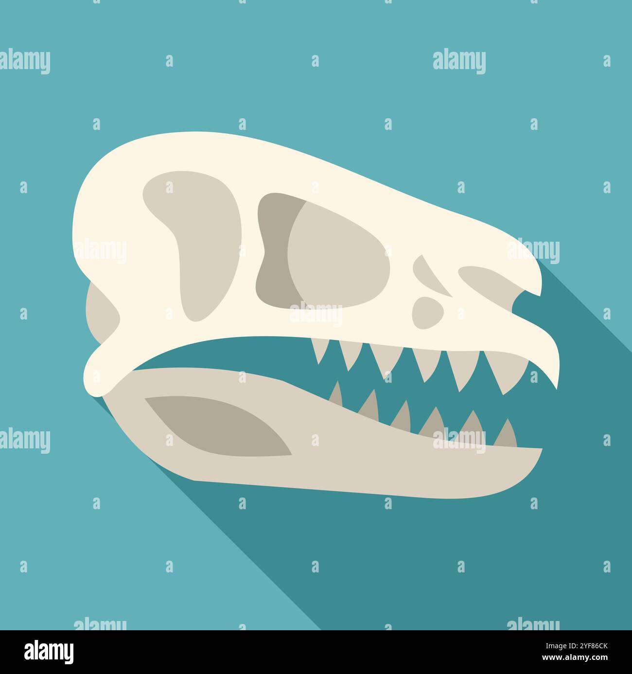 Dinosaur skull showcasing its menacing teeth and bone structure ...
