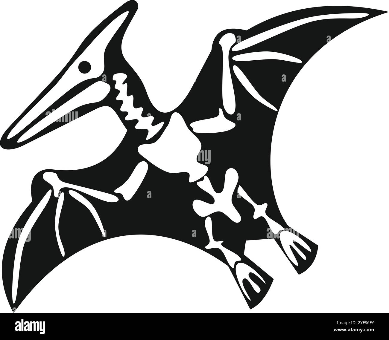 Black and white illustration of a pterodactyl skeleton soaring through ...