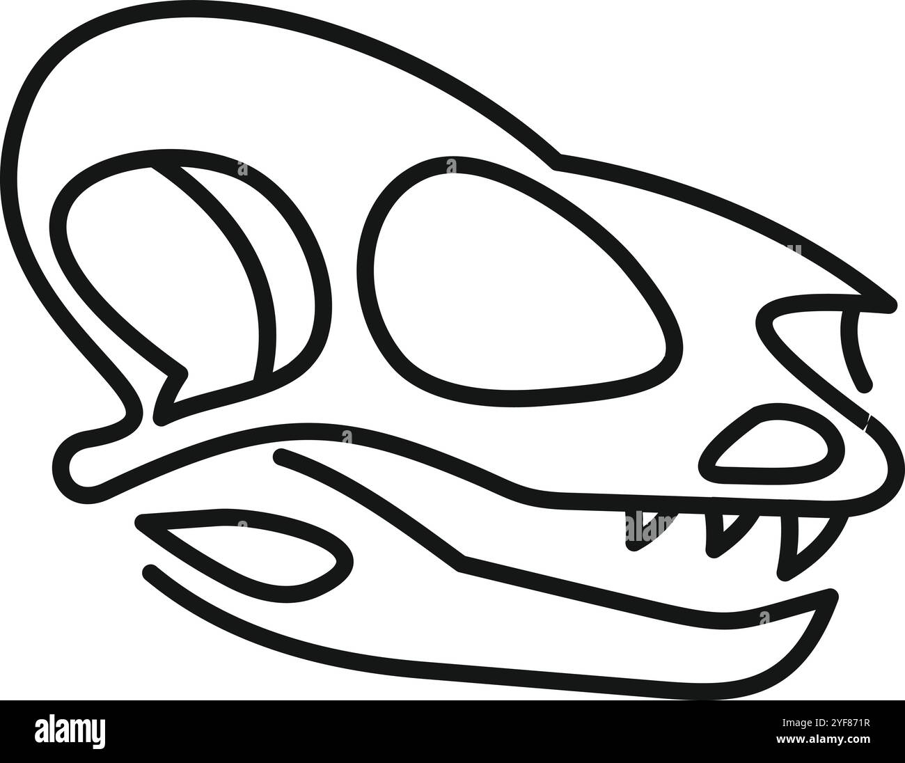 Line art drawing of a dinosaur skull fossil representing paleontology ...