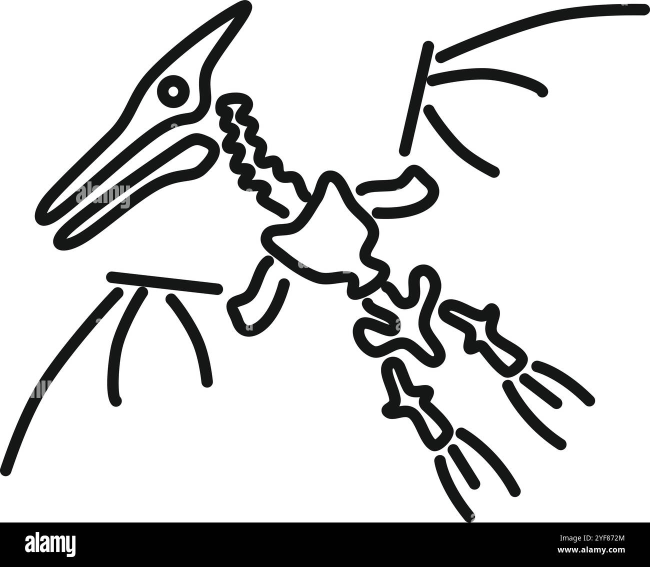 Minimalist line art drawing of a pterodactyl fossil, an extinct flying ...