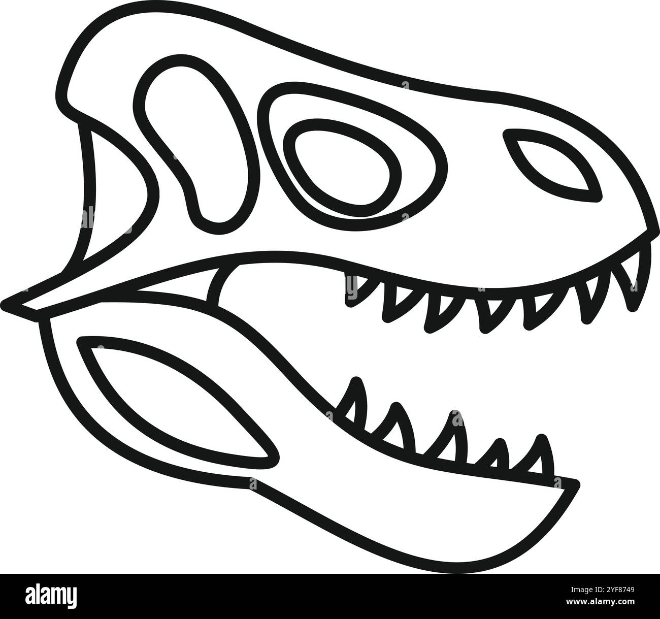 Tyrannosaurus rex skull fossil isolated on white background, paleontology and archeology ...