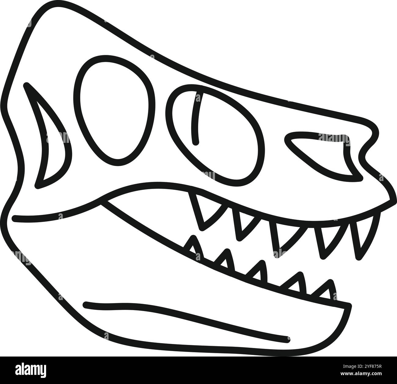 Side view of a dinosaur skull, highlighting its sharp teeth, large eye ...