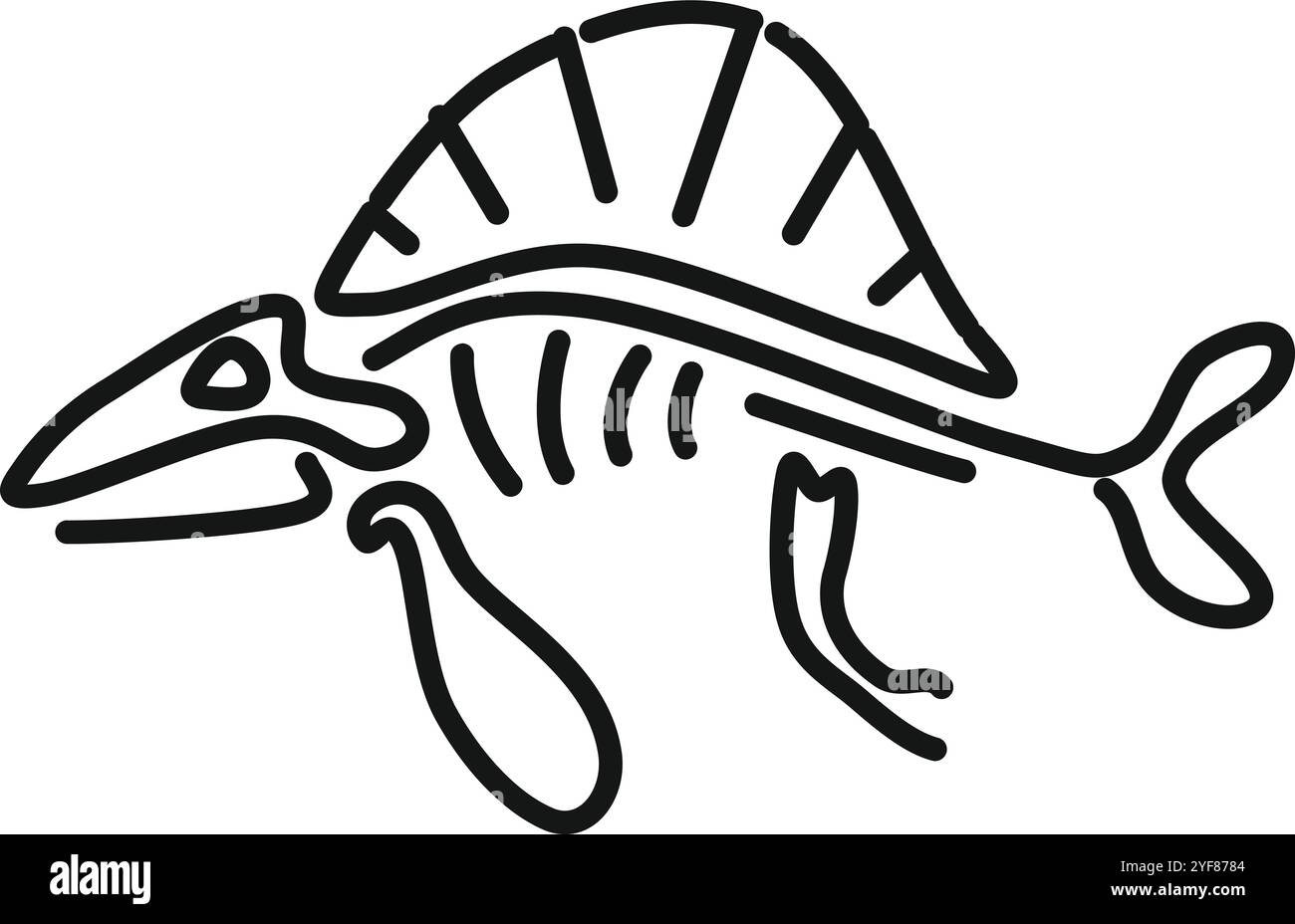 Simple line drawing of dimetrodon skeleton, a prehistoric reptile ...