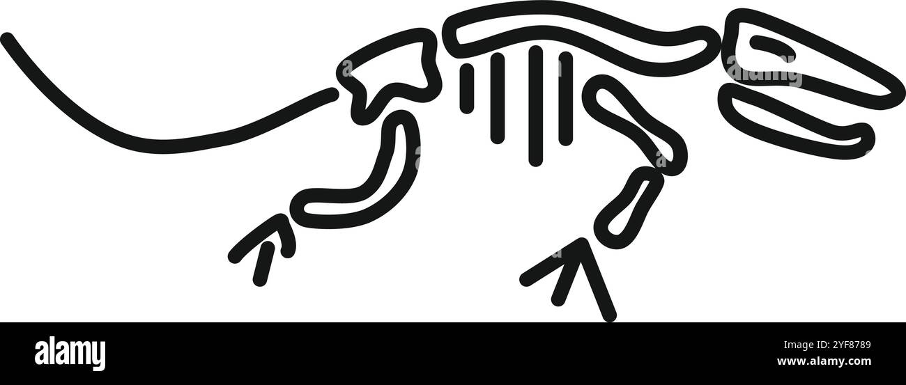 Varanus skeleton anatomy with bones, ribs and skull in simple line ...