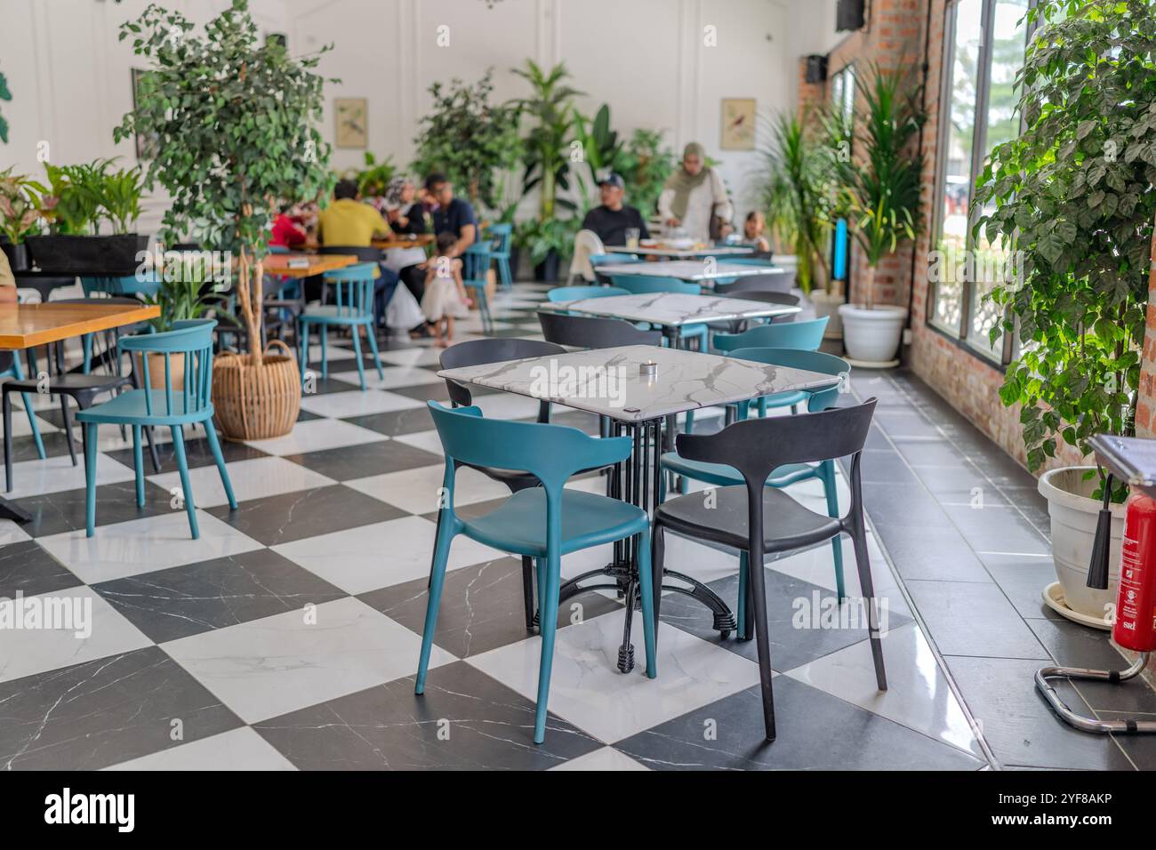 Trees in klang hi-res stock photography and images - Alamy