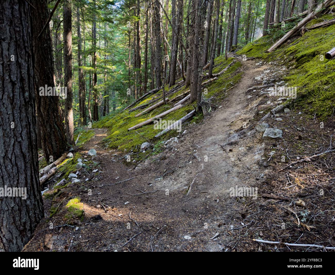 Sharp Curve in Steep Trail in North Cascades National Park Stock Photo ...