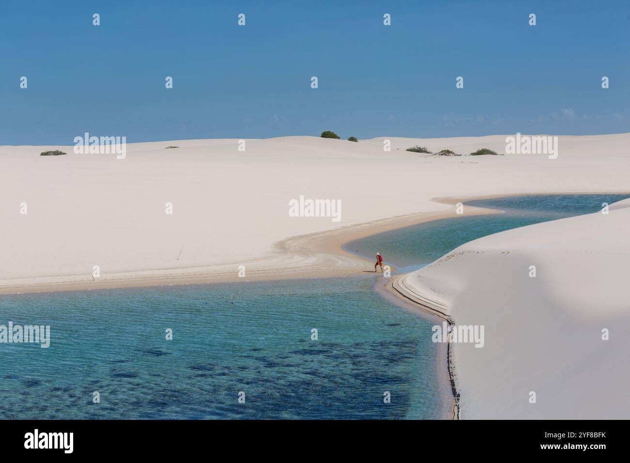 Lagoons in the desert of Lencois Maranhenses National Park, Brazil ...