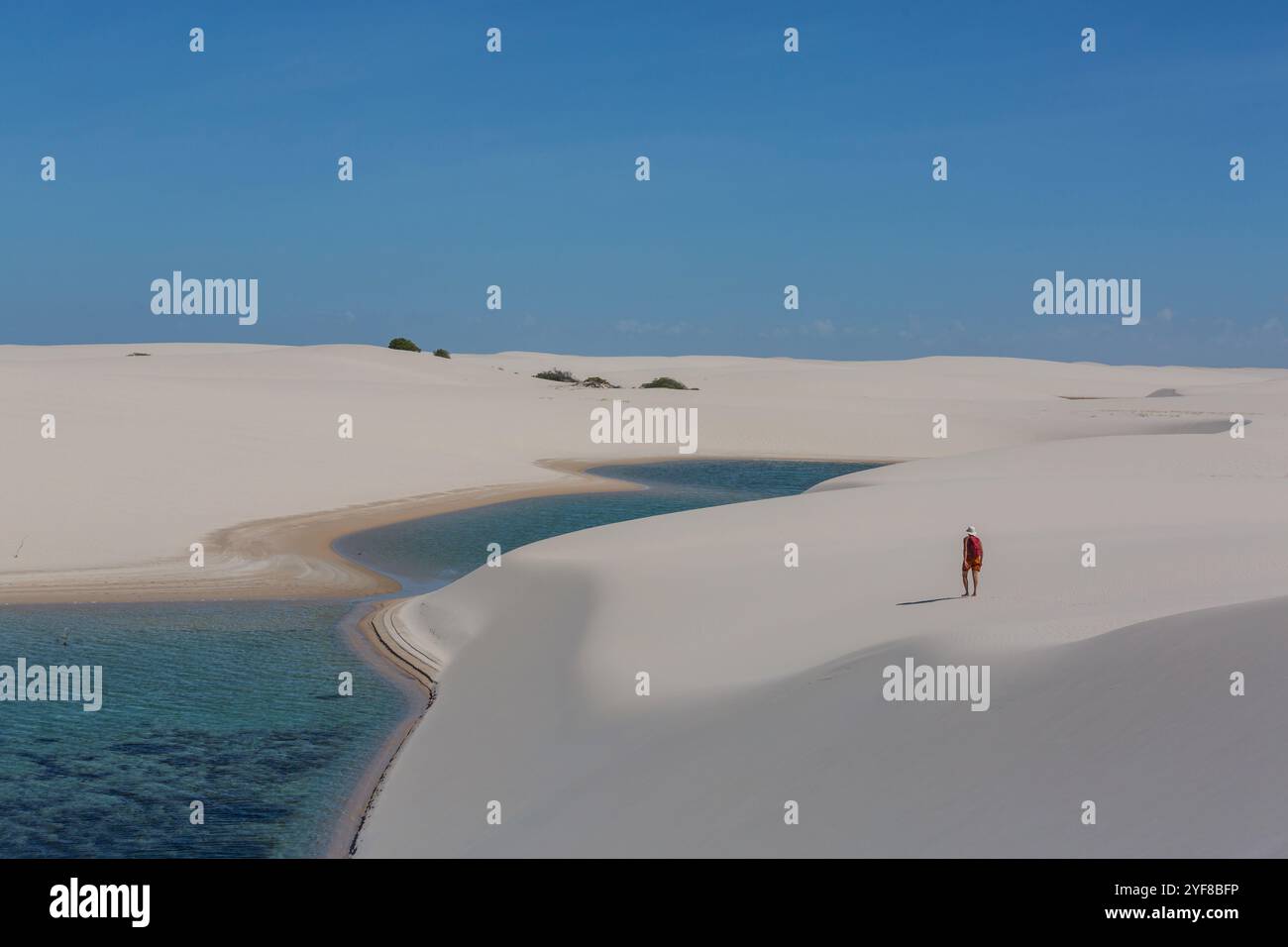 Lagoons in the desert of Lencois Maranhenses National Park, Brazil ...
