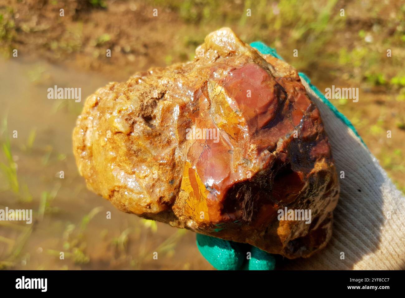 Sample collection water hi-res stock photography and images - Alamy