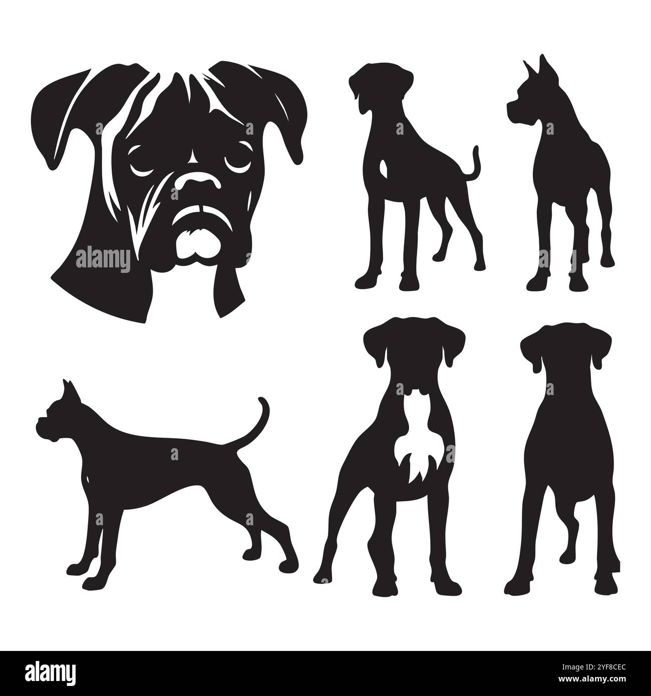 Silhouette set of boxer dog on white background Stock Vector Image ...