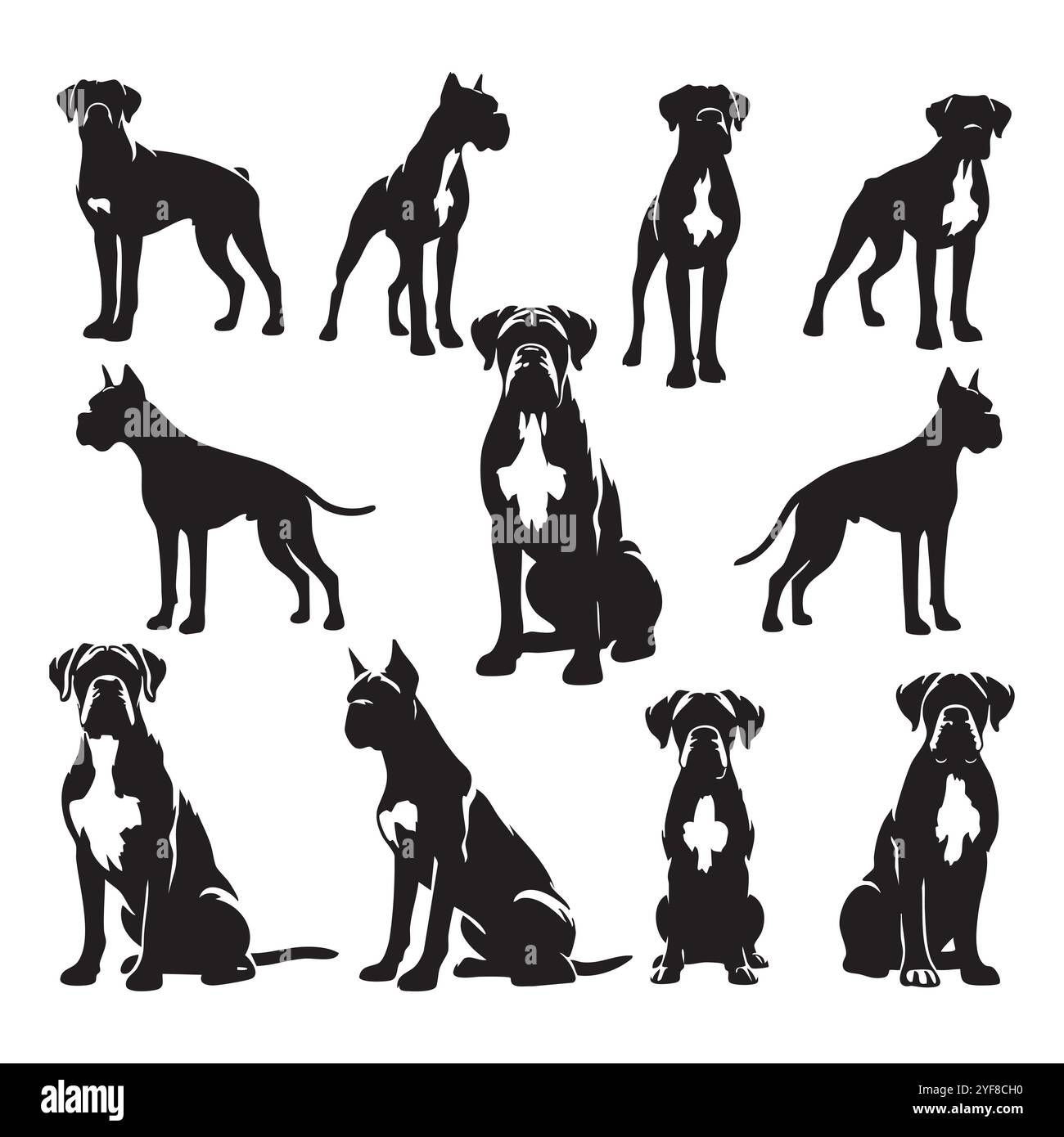 Silhouette set of boxer dog on white background Stock Vector Image ...