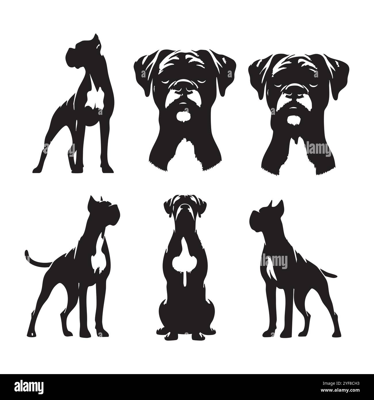 Silhouette set of boxer dog on white background Stock Vector Image ...