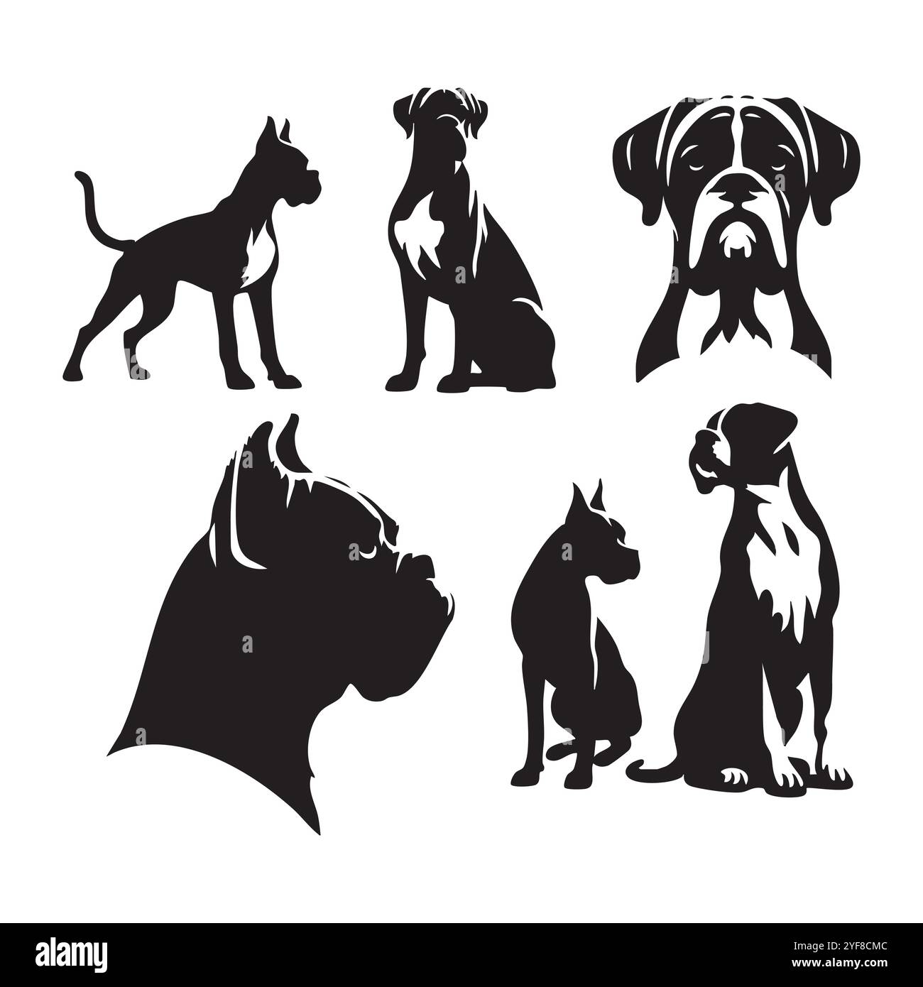 Silhouette set of boxer dog on white background Stock Vector Image ...