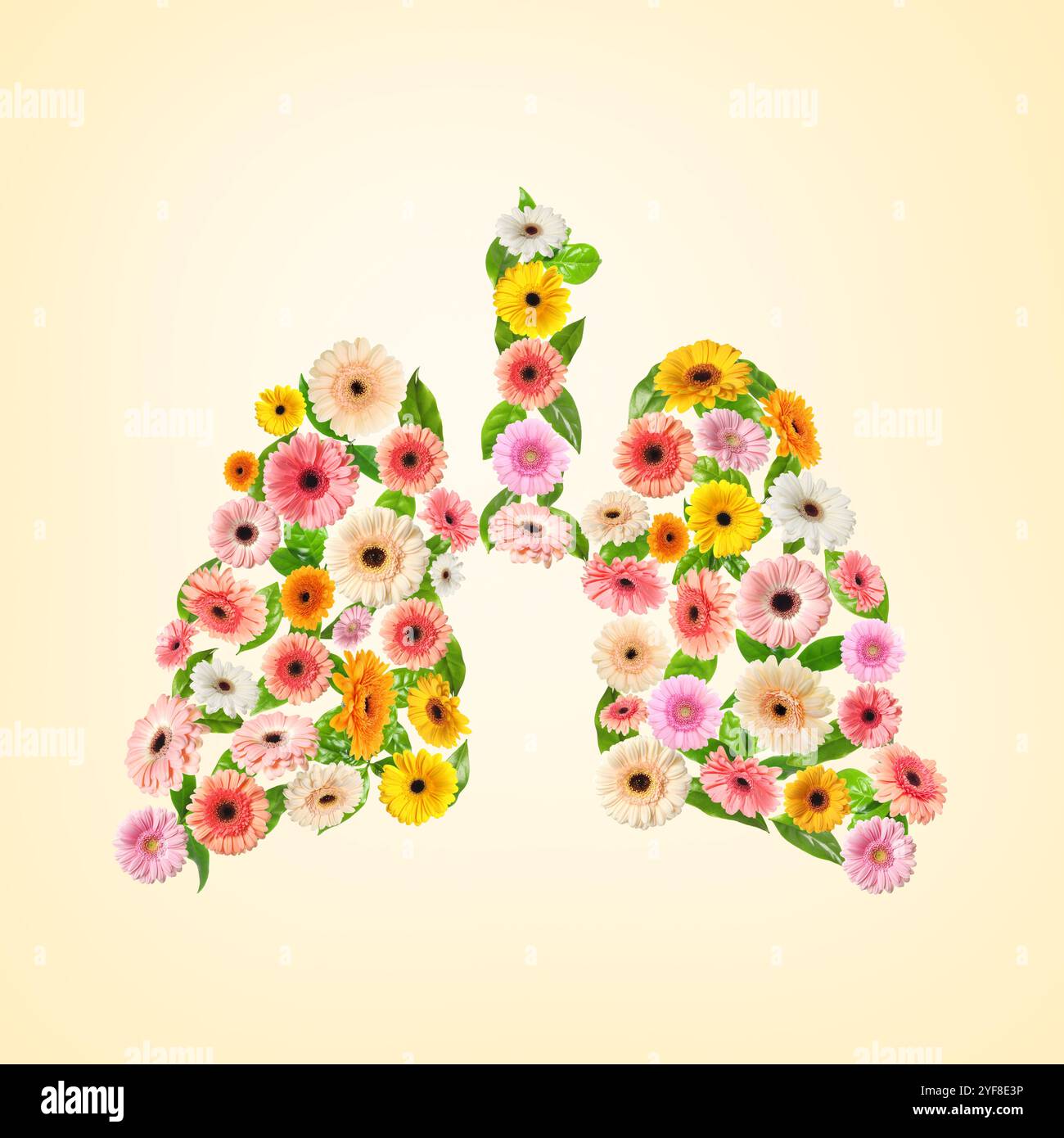 Asthma. Shape of lungs made with flowers on beige background Stock ...