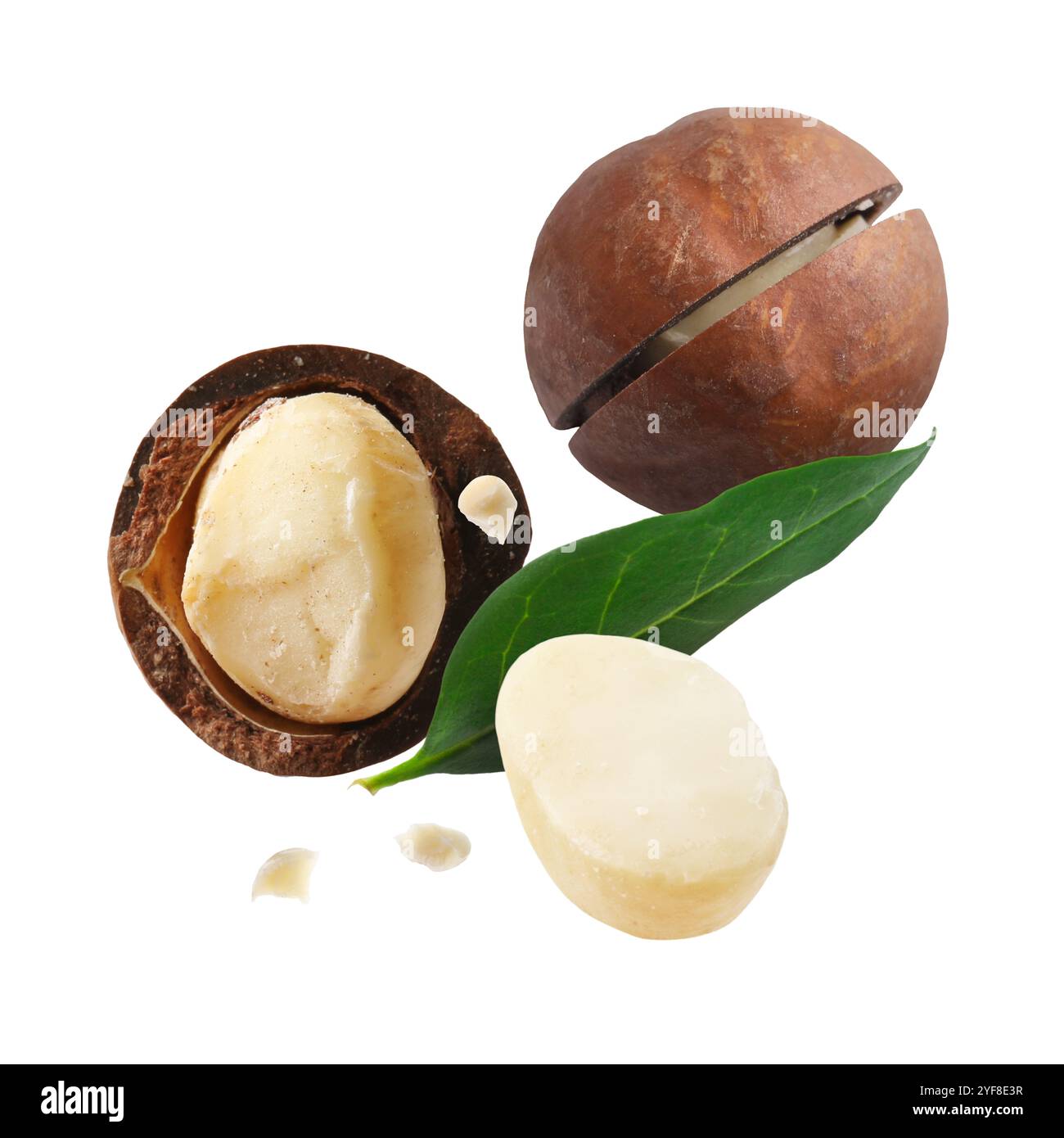 Macadamia nuts and green leaf in air on white background Stock Photo ...