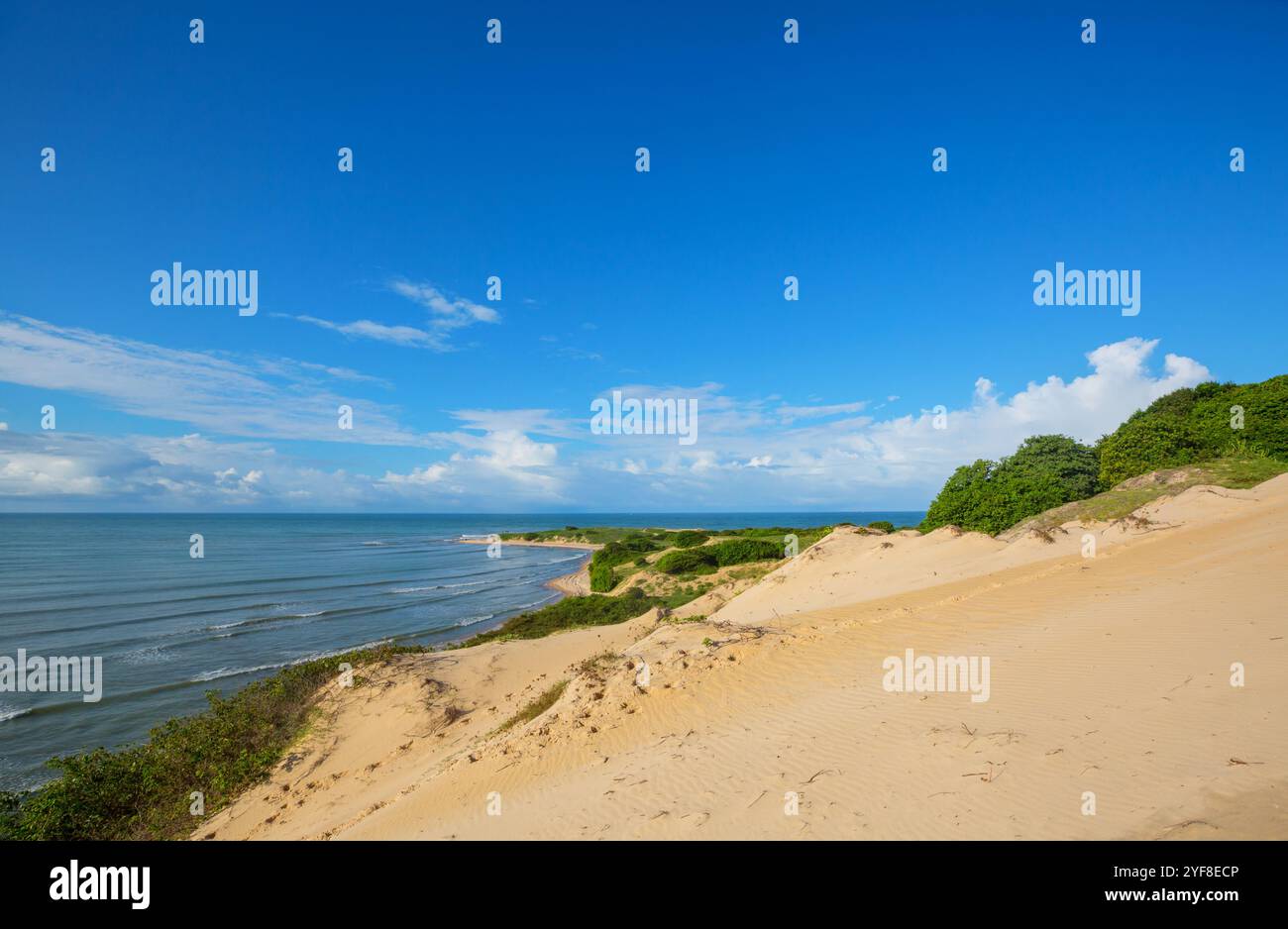 Dunes on beach in brazil hi-res stock photography and images - Alamy
