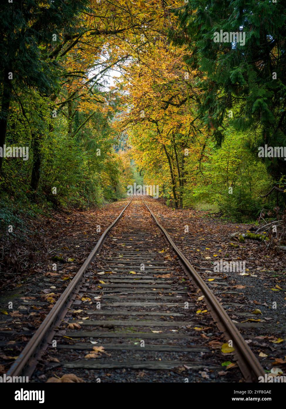 Train tracks october hi-res stock photography and images - Alamy
