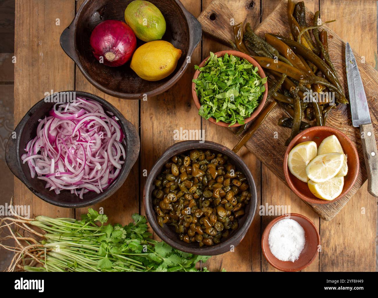 Cochayuyo seaweed durvillaea antarctica hi-res stock photography and ...