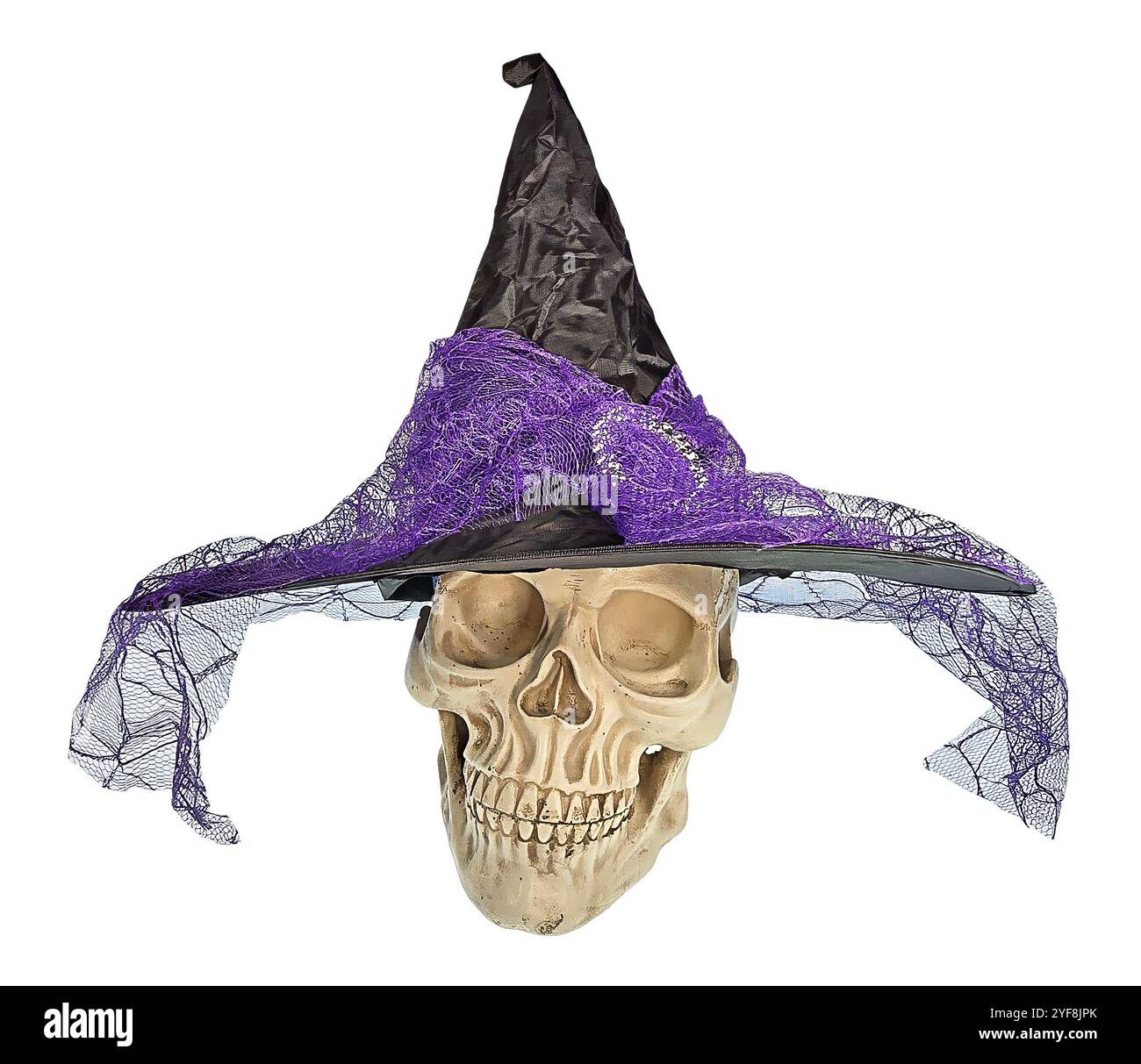 Skull viewed hi-res stock photography and images - Alamy