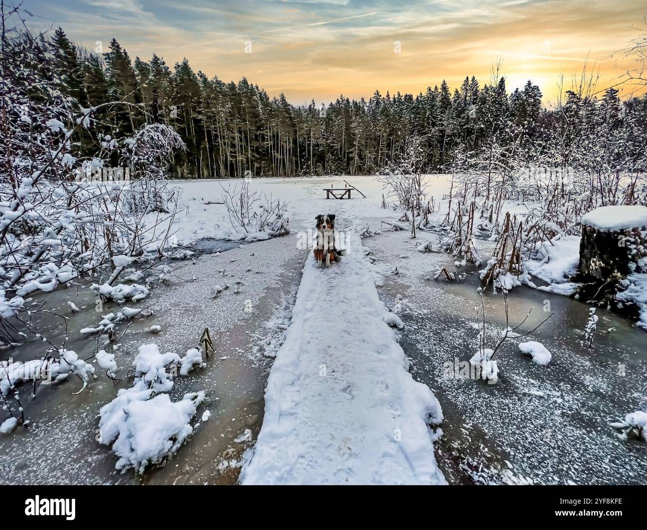 A winter wonderland scene featuring a frozen lake, a wooden bridge, and ...