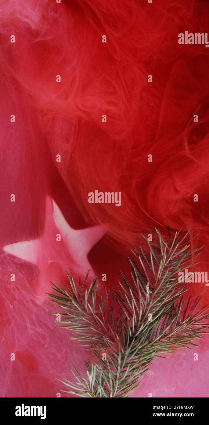 Christmas background. Mist fir sprig. Green tree plant star in red pink ...