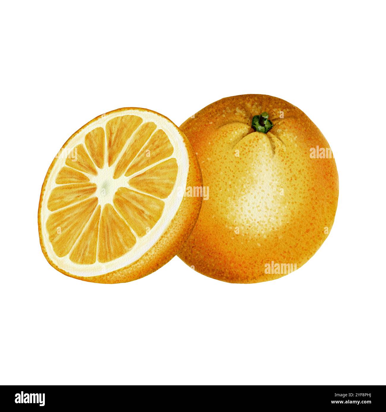 Juicy oranges. Whole fruit and half. Orange cut in half. You can see ...