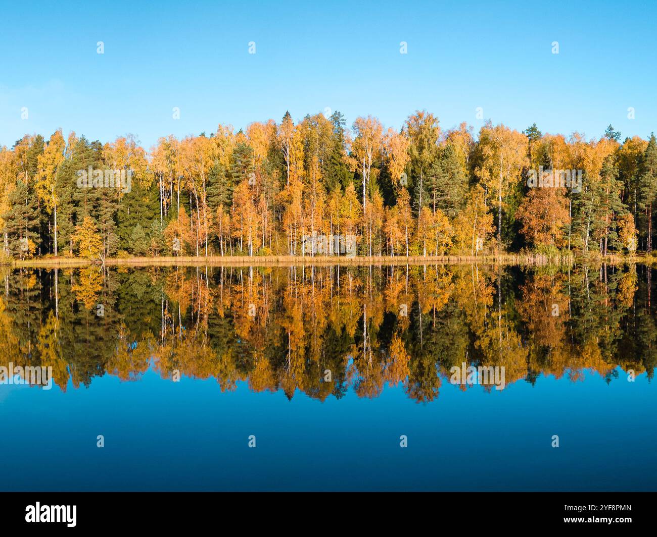 Fall colour reflected in the still waters of Canisbay Lake Stock Photo ...