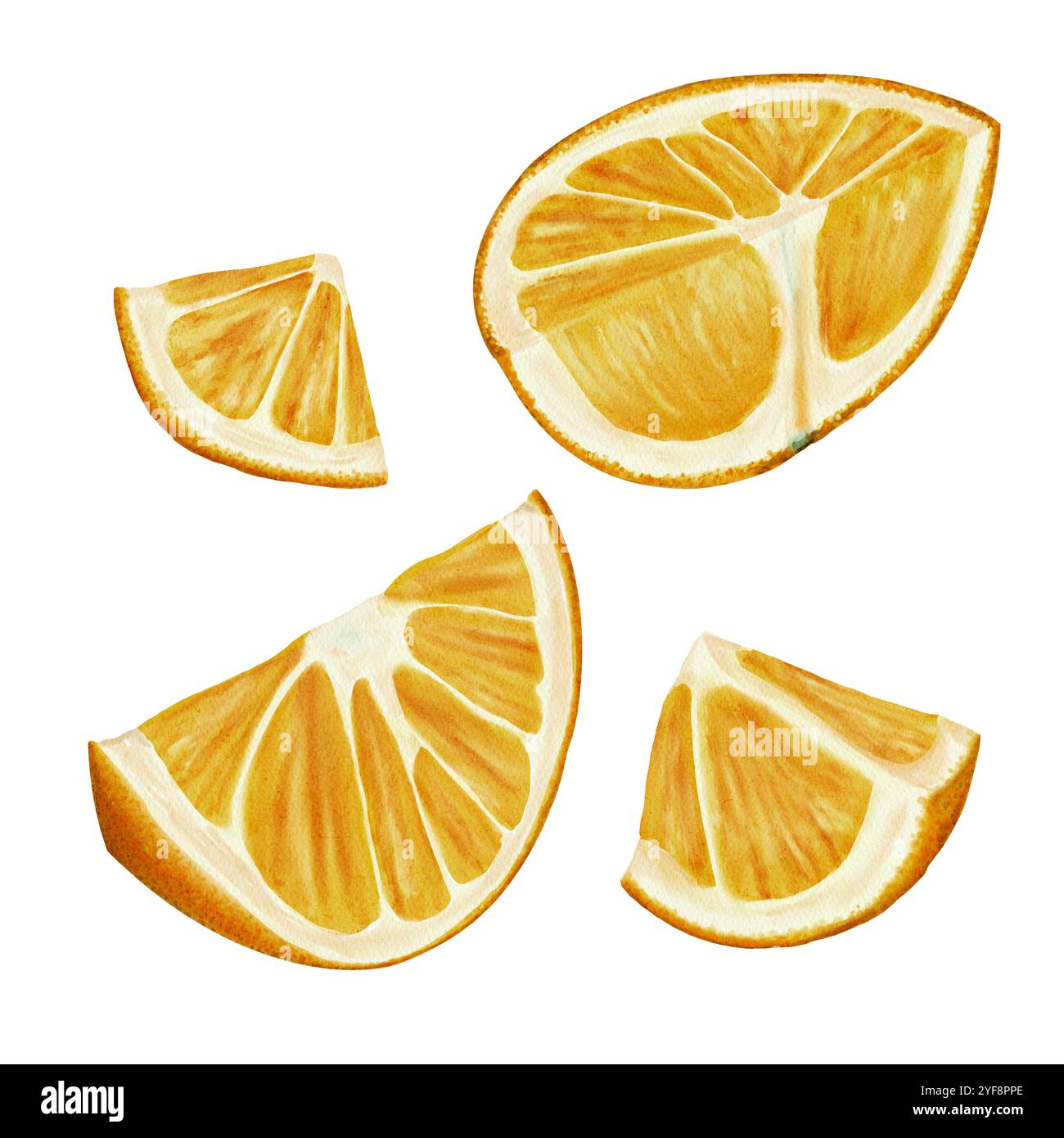 Set of oranges. With pieces of fruit. Halves and quarters. Yellow ...