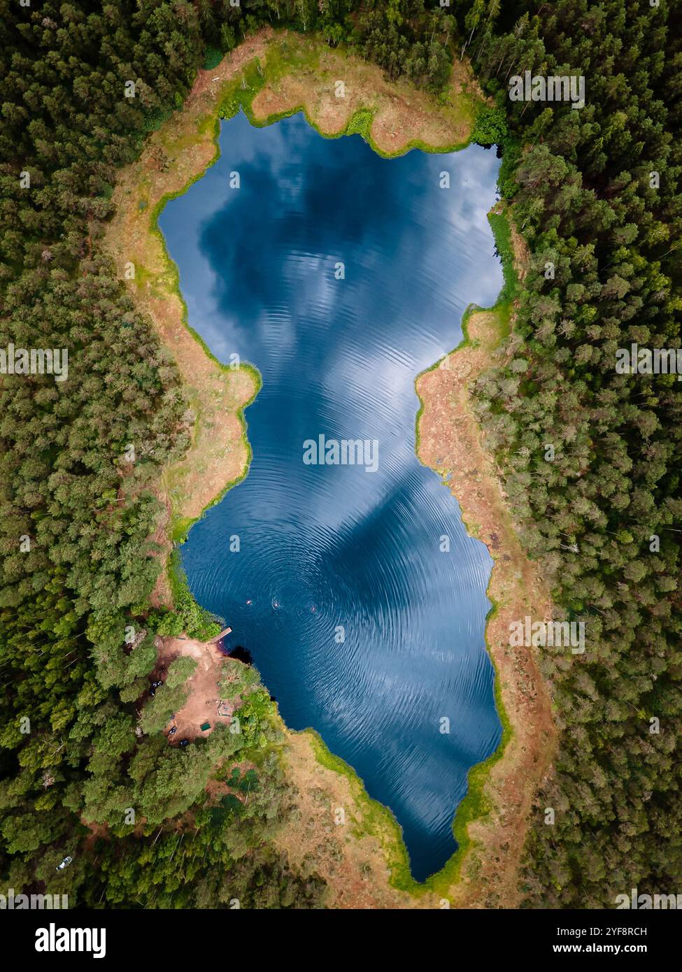 Aerial view of beautiful wild forest lake Stock Photo - Alamy